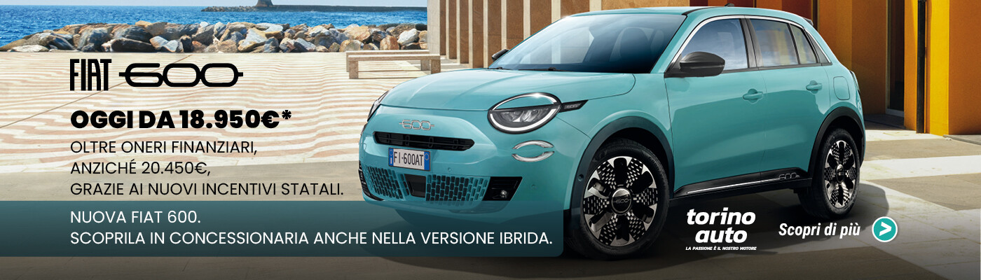 Torino Auto Spa - Home