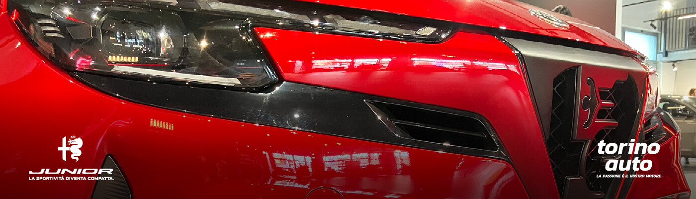 Torino Auto Spa - Home